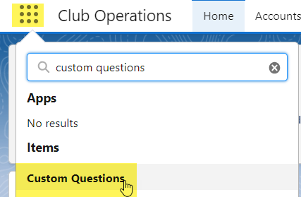 Custom Questions Overview