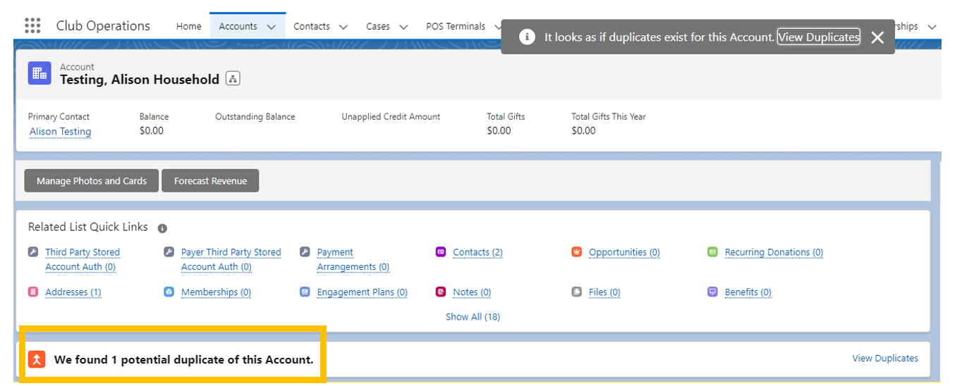 Force Accounts and Contacts to Flag as Duplicates