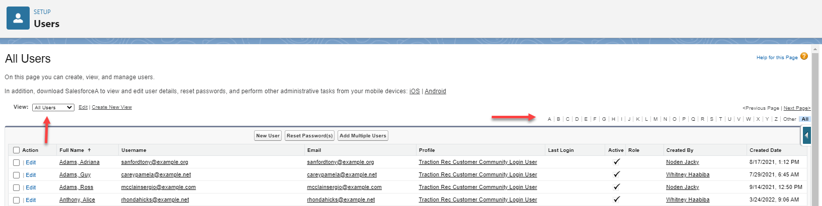 Assign Permission Sets And Permission Set Groups To A User
