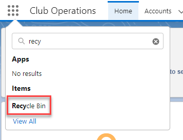 Recycle Bin Overview & Restoring Recently Deleted Records